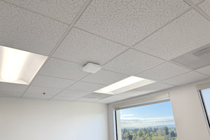 Firewalla Access Point 7 Ceiling: Enabling Zero Trust Network Security | Firewalla